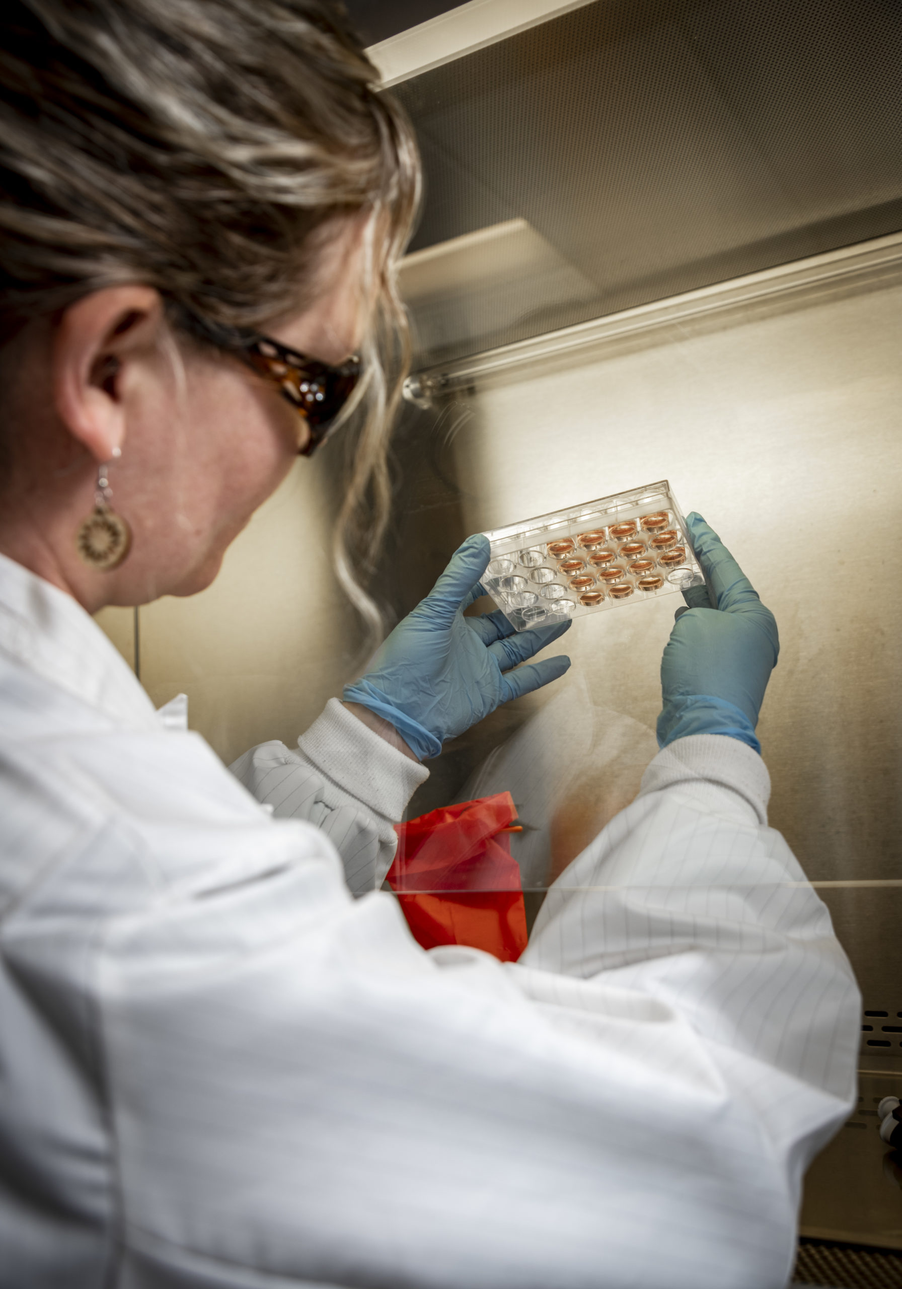 EpiVax worked for 21 years to be able to make a vaccine in 24 hours ...