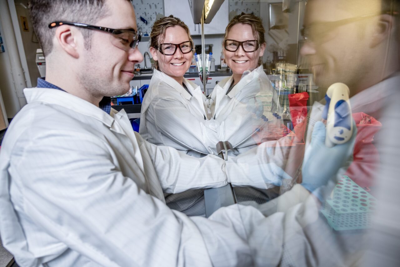 Predict Innate Immune Responses - EpiVax