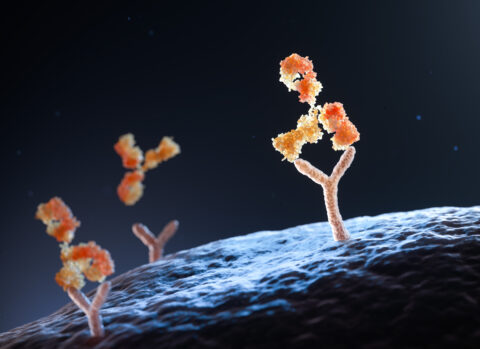 iVAX™ - Computational Vaccine Design Toolkit